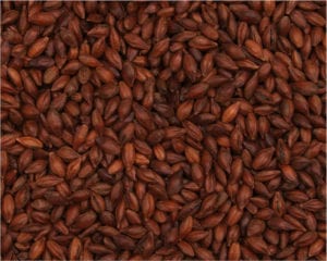 Our Products | Barrett Burston Malting - High-Quality Australian Malt