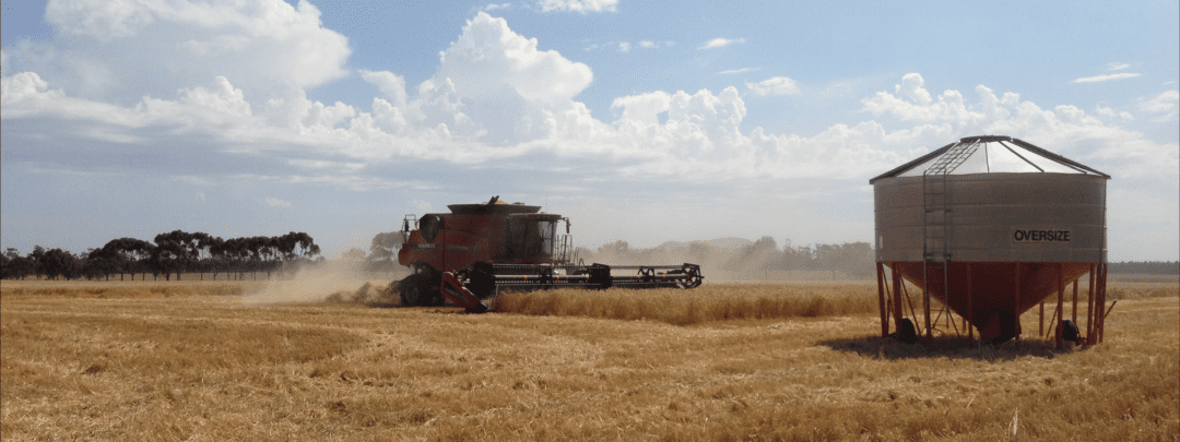 Our Company | Barrett Burston Malting - High-Quality Australian Malt
