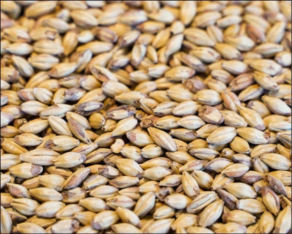 Our Products | Barrett Burston Malting - High-Quality Australian Malt