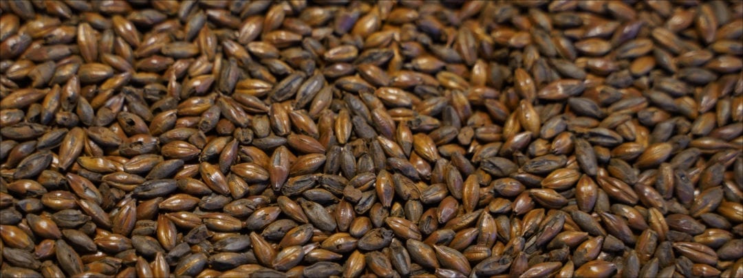 Roasted Malt | Barrett Burston Malting - High-Quality Australian Malt