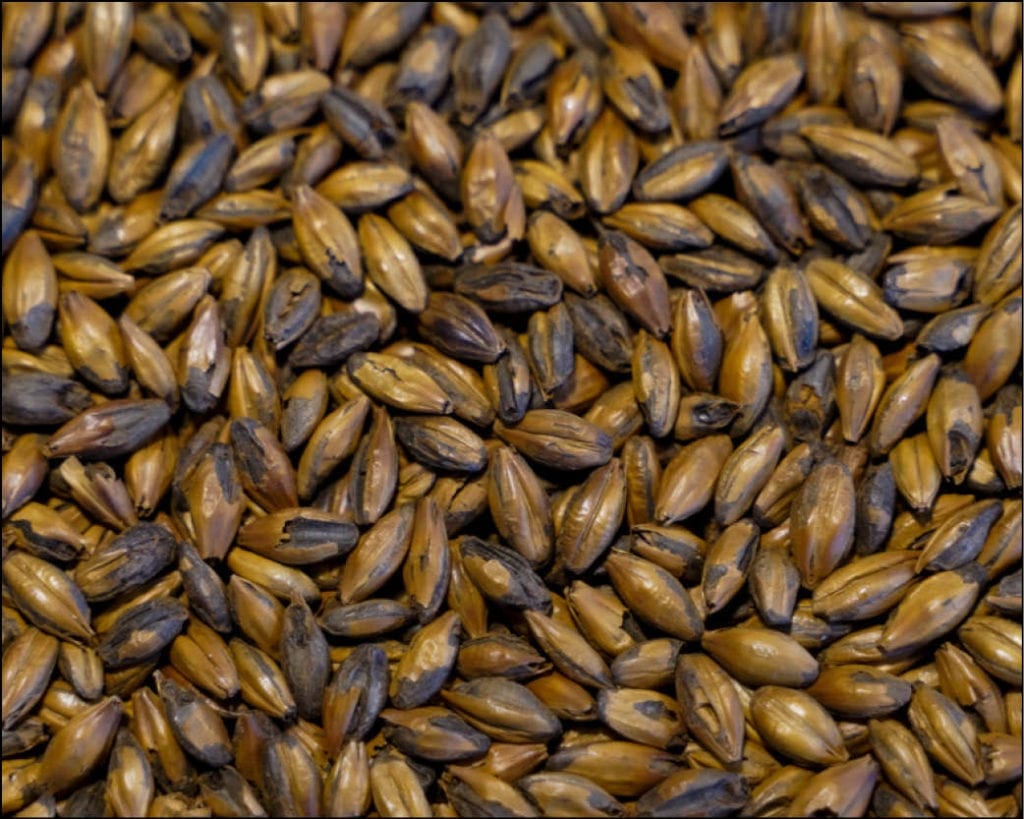 Our Products | Barrett Burston Malting - High-Quality Australian Malt