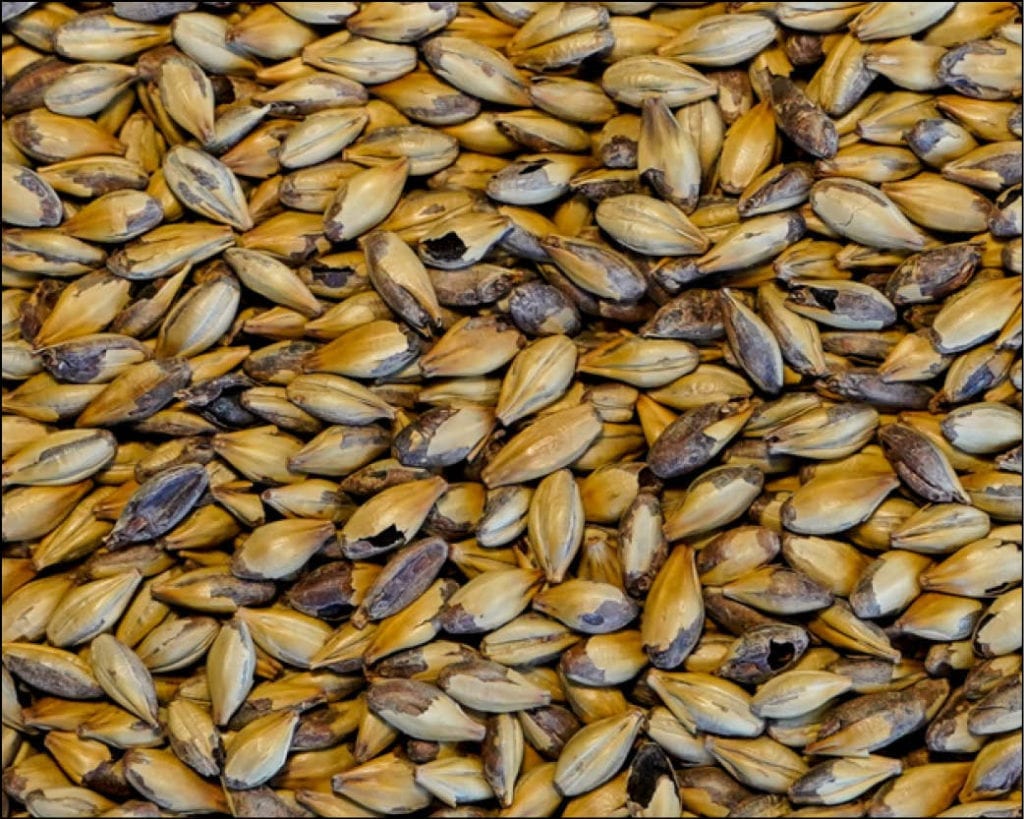 Our Products | Barrett Burston Malting - High-Quality Australian Malt